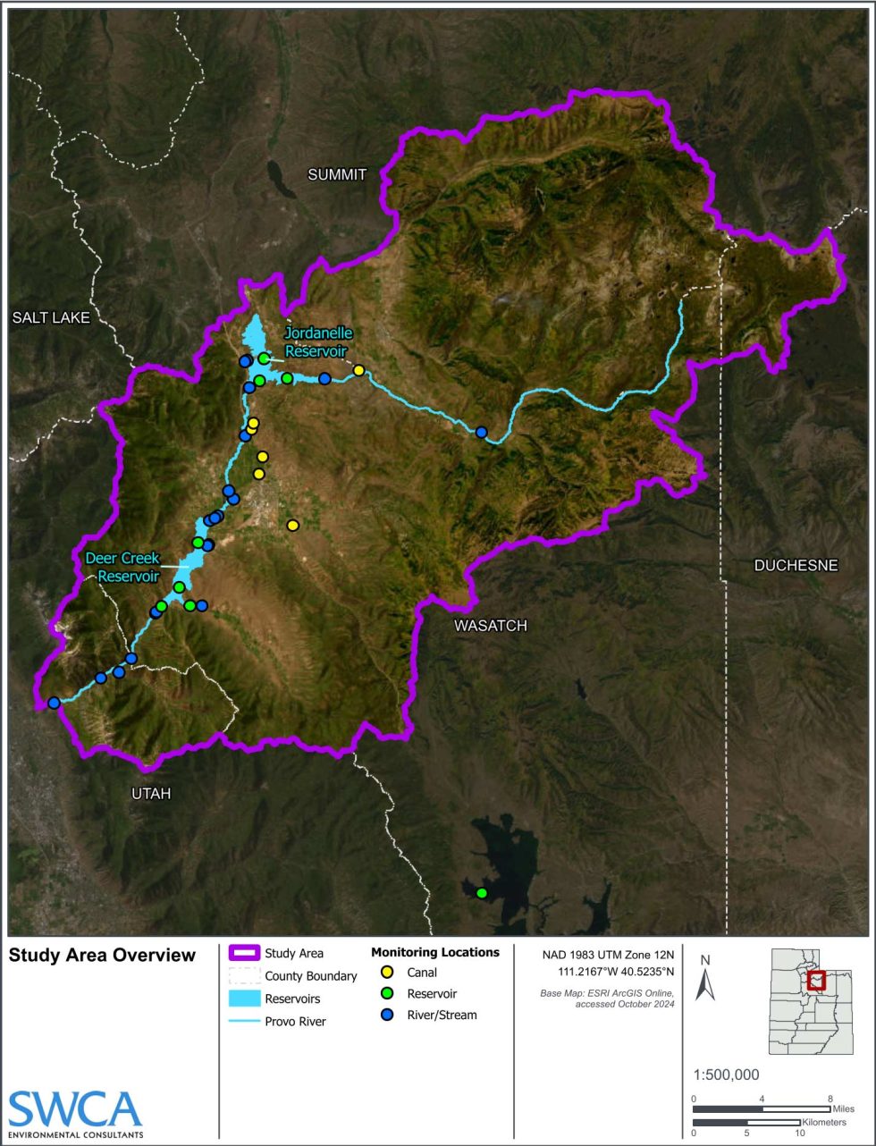Provo River Watershed Council: Sustaining the Provo River Ecosystem